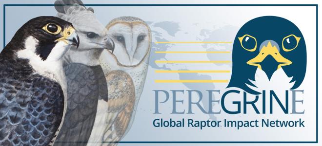 GRIN Home | The Peregrine Fund